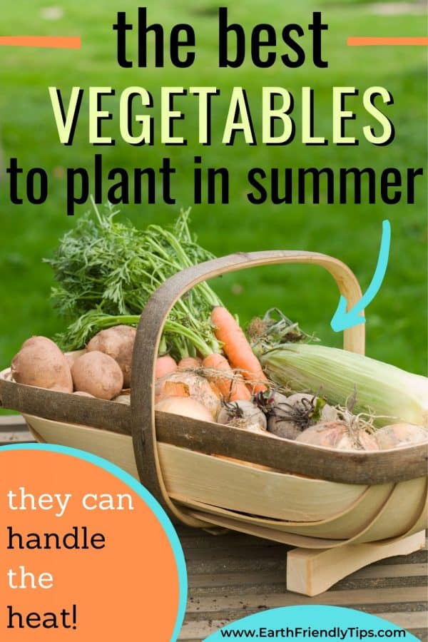 Best Vegetables to Plant in Summer - Earth Friendly Tips
