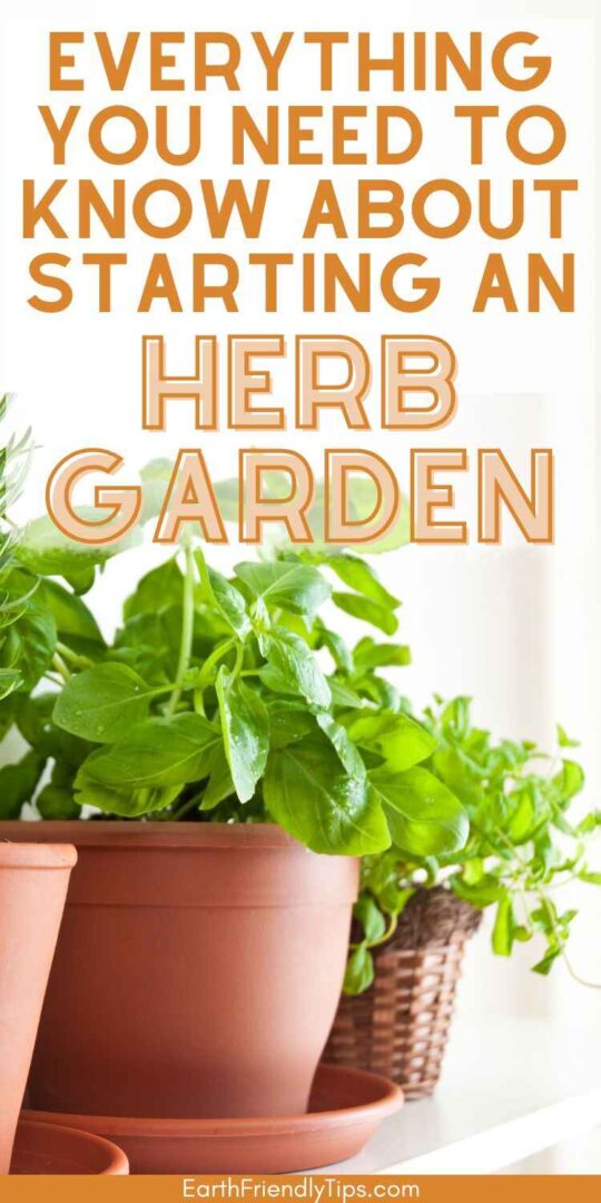 Herb Gardening for Beginners - Earth Friendly Tips
