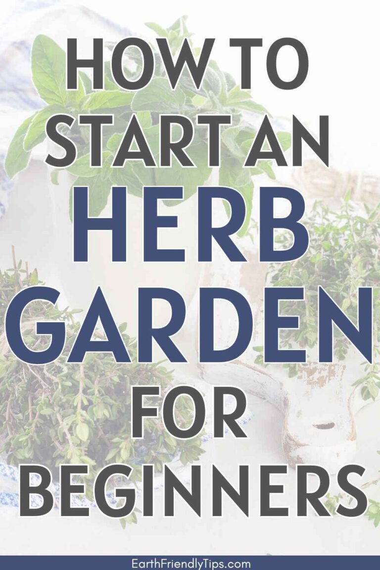 Herb Gardening for Beginners - Earth Friendly Tips